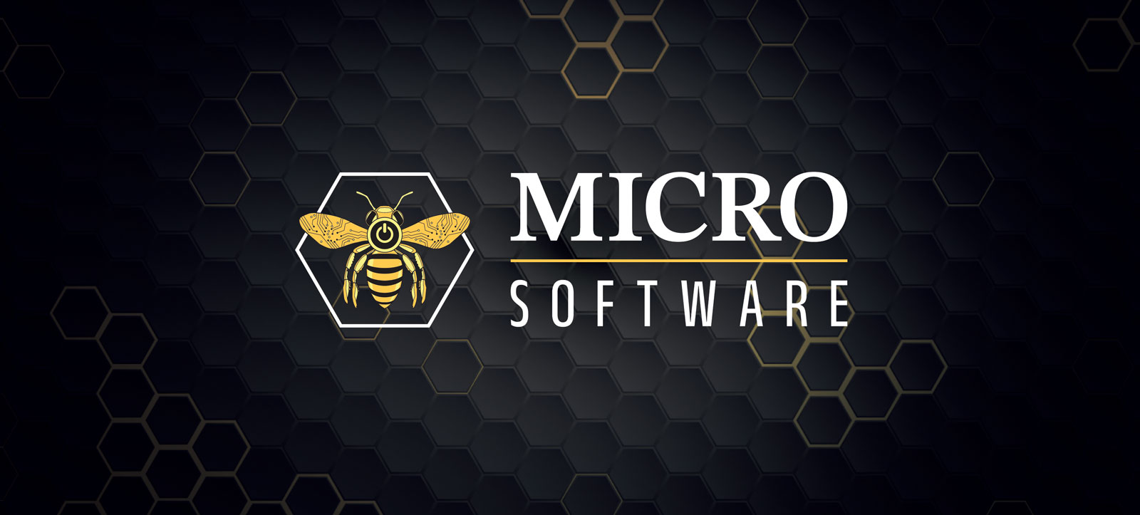 Home [micrometalsoftware.com]
